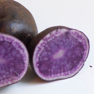 Blaue, Rote, Lila und Violette Kartoffeln | TARTUFFLI