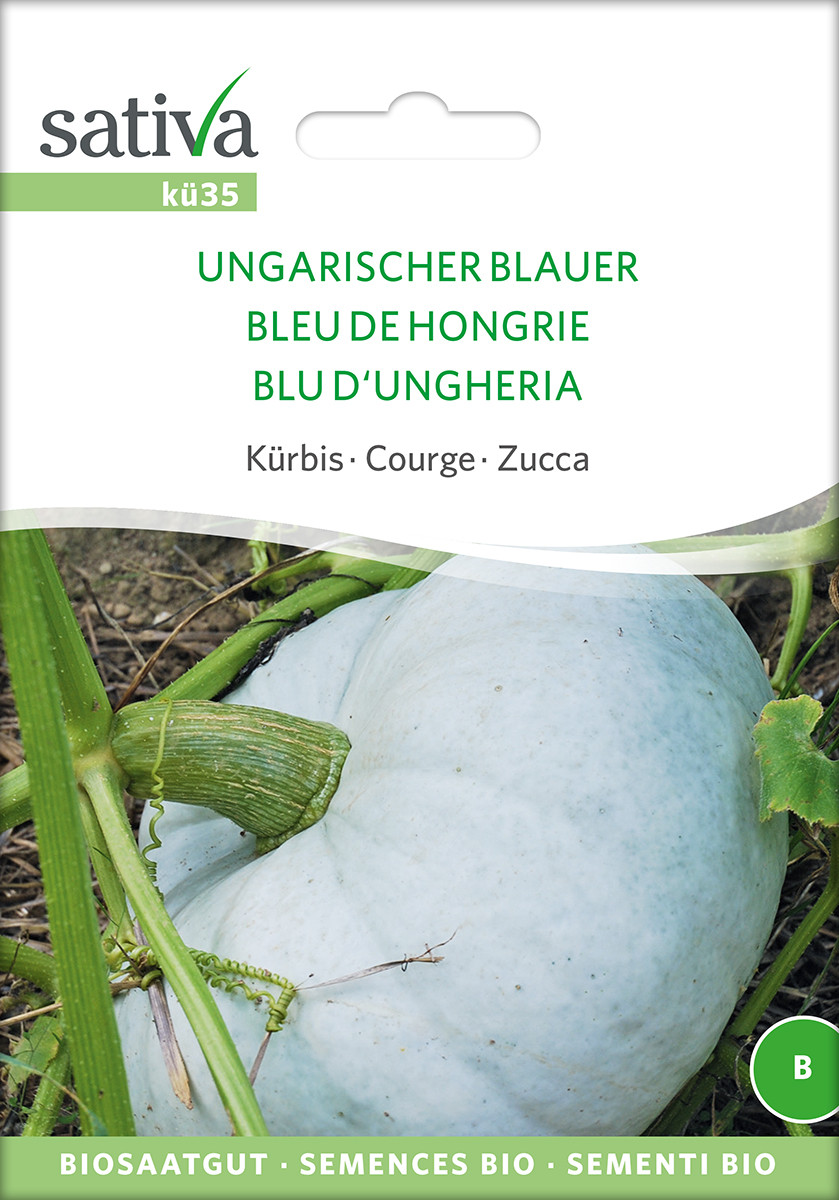 Blauer Kurbis Schale Essbar