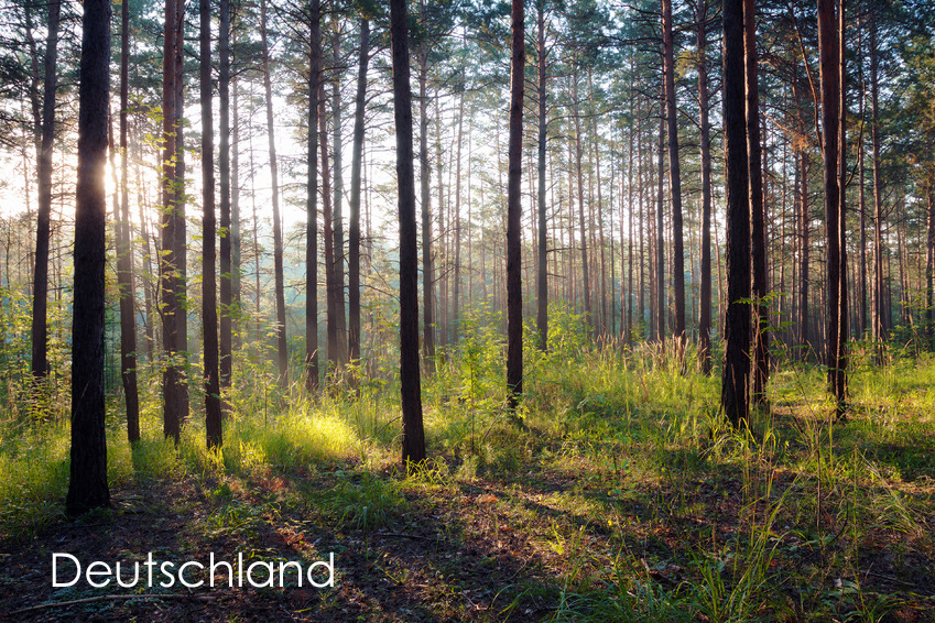 Deutschland | Genussregionen | TARTUFFLI