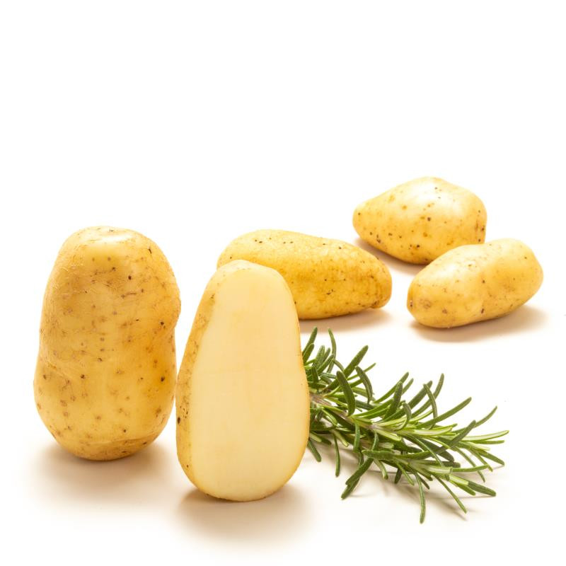 Fruehe Praettigauer [vf] | TARTUFFLI