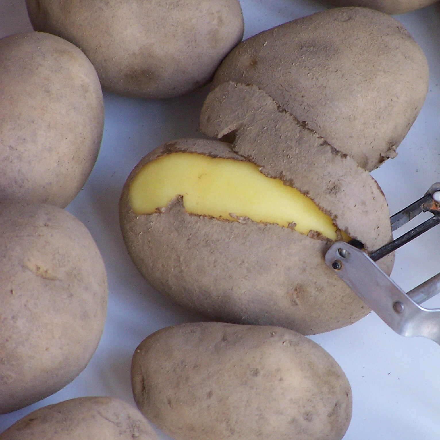 Mariola (bio) [vf] - aus Schrobenhausen | TARTUFFLI