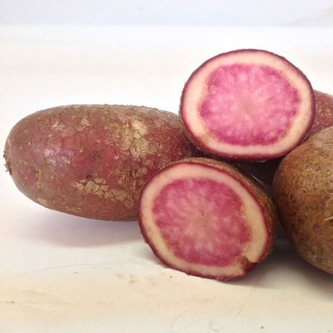 Rouge de Cournailles (Cornwall) [vf] | TARTUFFLI