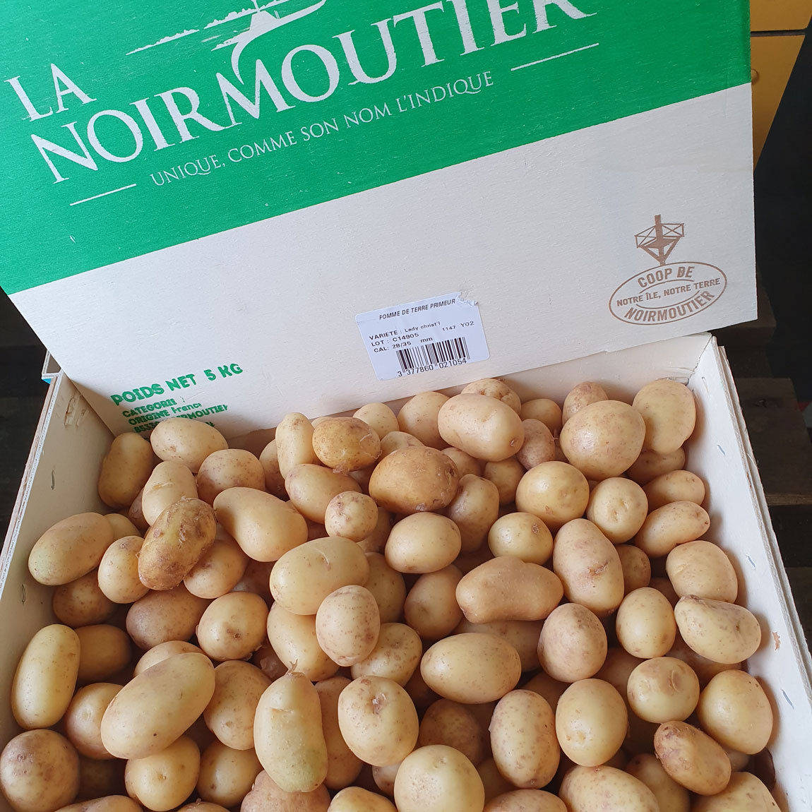 frisch geerntet - Lady Christl [fk] Grenailles - Bretagne | TARTUFFLI