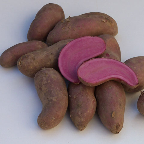 Rote Emmalie [vf](bio) aus der Lüneburger Heide | TARTUFFLI