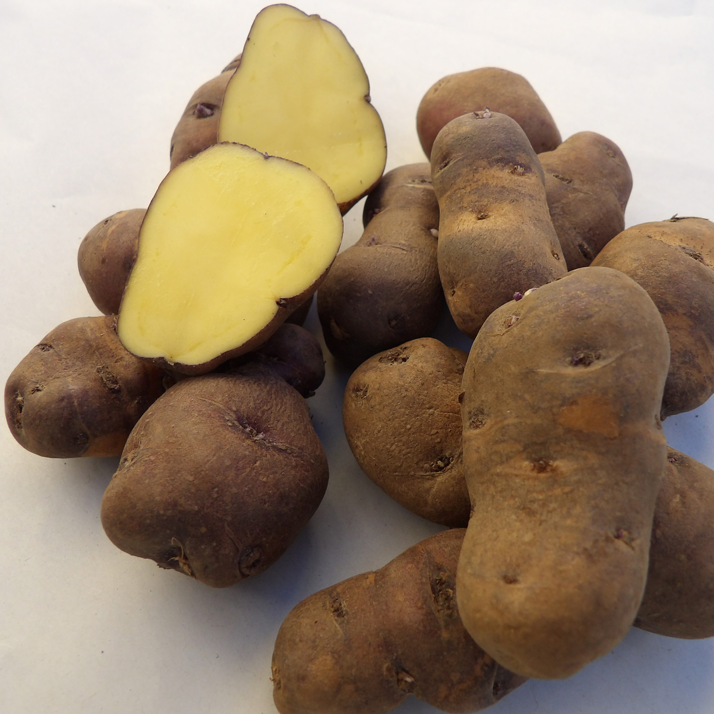 kanarische Papa Negra | TARTUFFLI